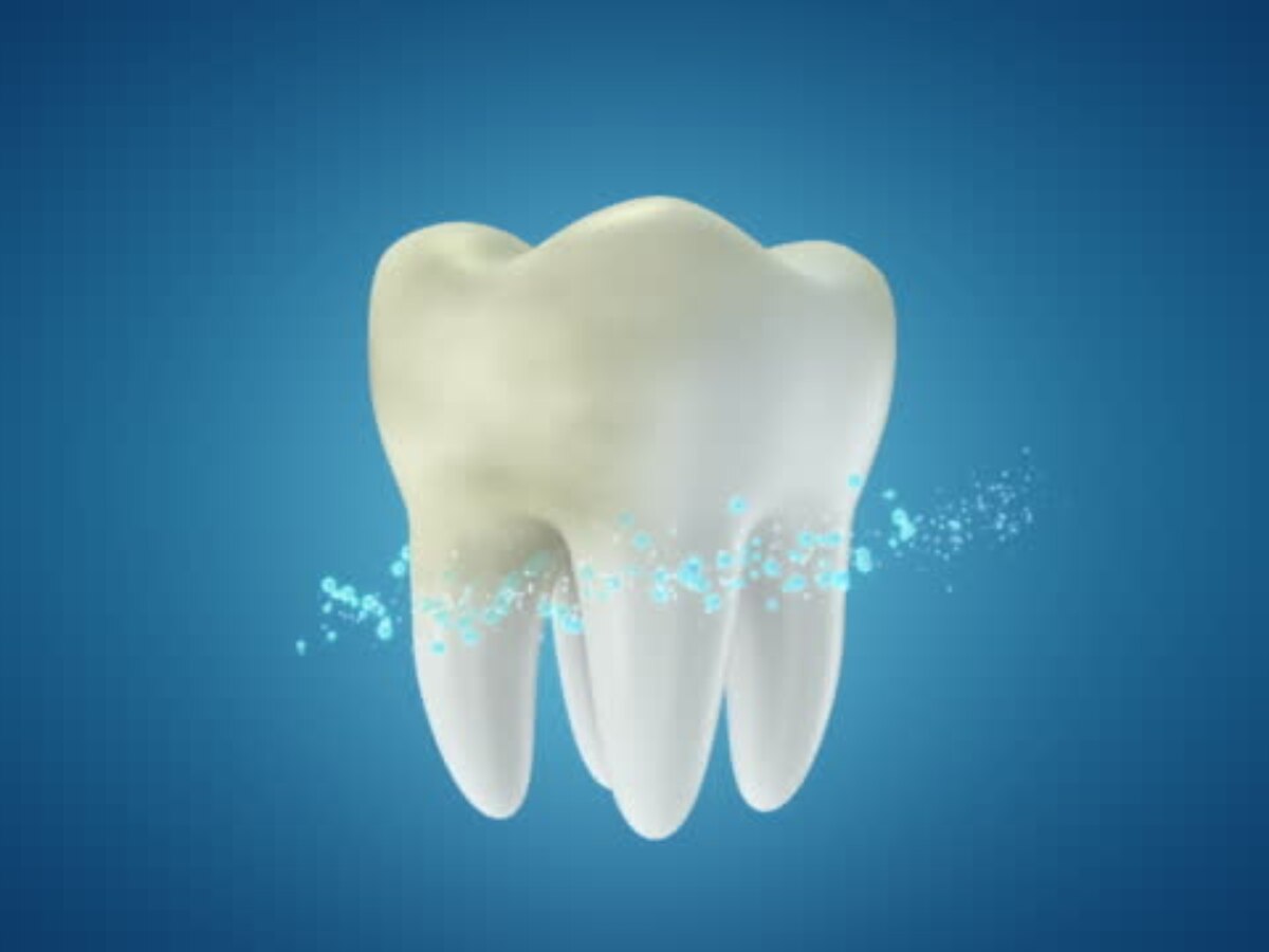 World First Tooth Regrowing Drug approved for Human Trials; Tooth ...