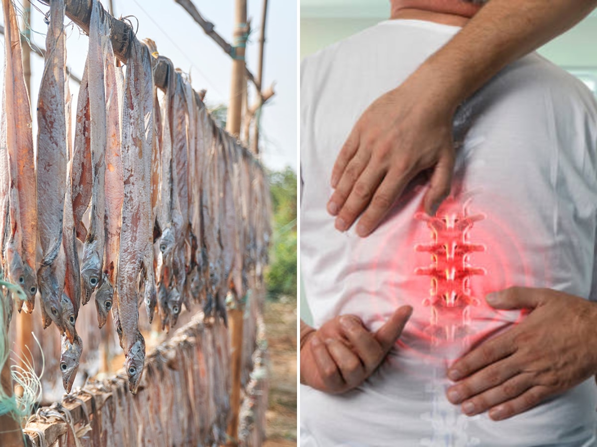 ICMR shared 10 Calcium Rich Foods for Strong bones and teeth; हाडांचा ...