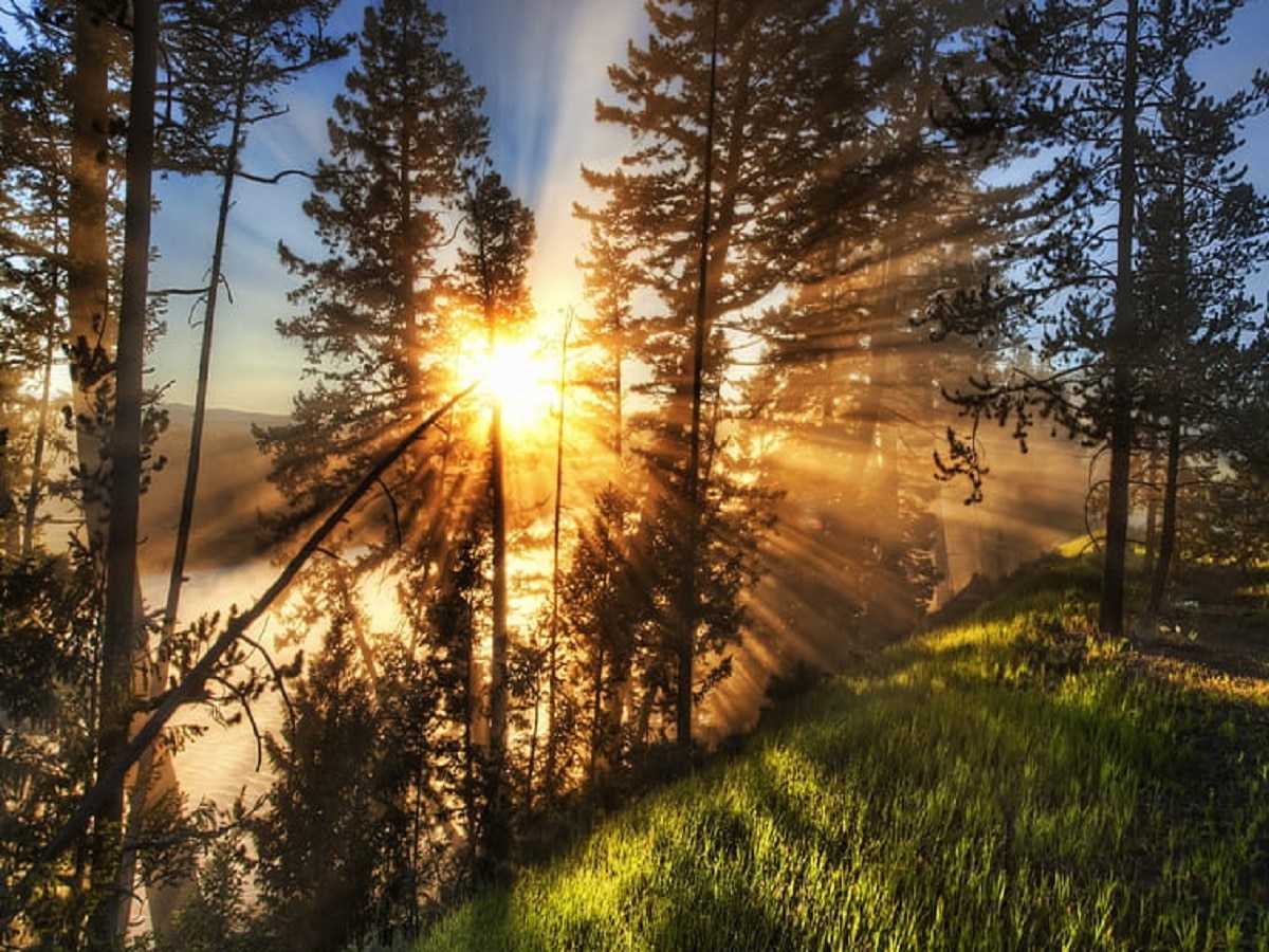 सूर्य पूर्वेलाचा का उगवतो? पश्चिमेला उगवला तर पृथ्वीवर काय परिणाम होईल ...