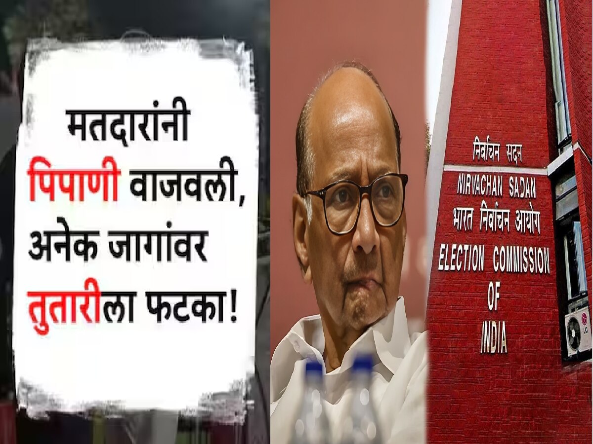 महाराष्ट्रात लोकसभेत 'पिपाणी'मुळे 'तुतारी'चा खेळ बिघडला? विधानसभेसाठी ...