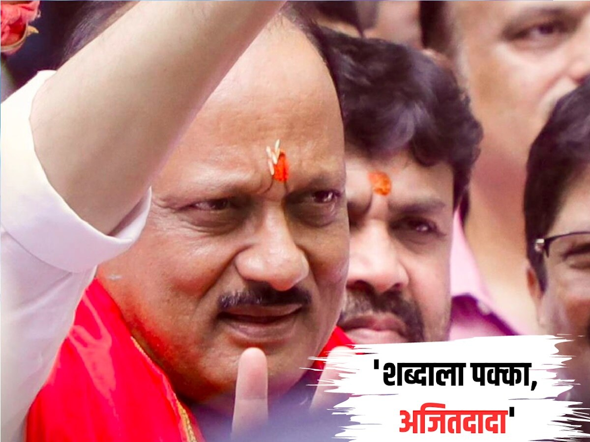 maharashtra politics ncp chief ajit pawars 90-day plan for assembly ...