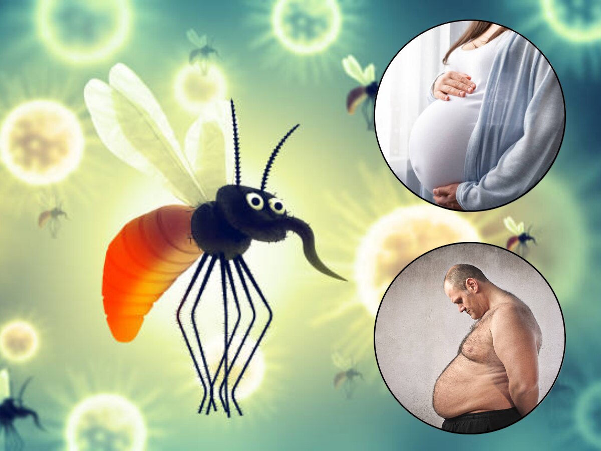 Why Mosquitoes Bite Pregnant Women and Fat Person more than Normal ...