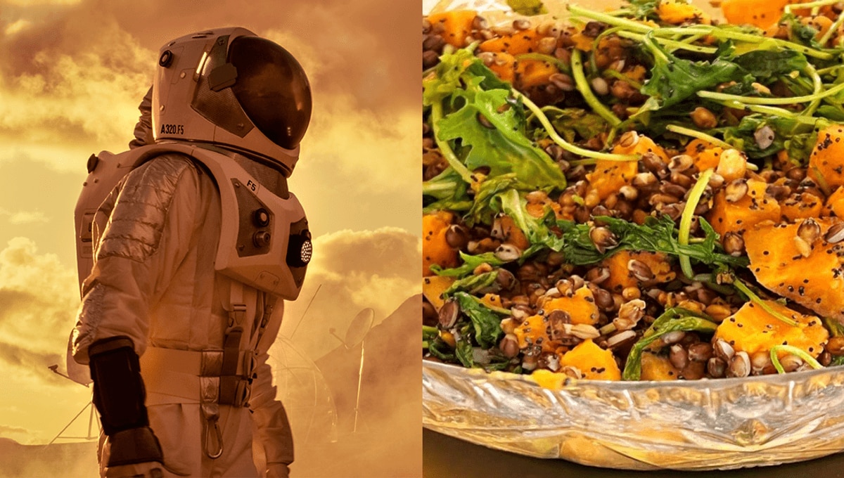 How often do astronauts get hungry in space How do you make food
