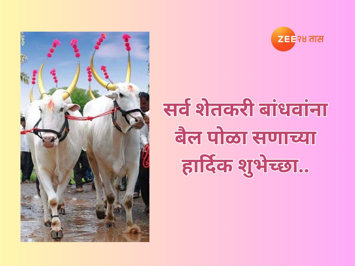 Bail Pola Wishes in Marathi Happy Bail Pola 2024 Hardik Subhechha ...