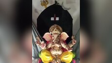 लाडका बाप्पा News in Marathi, लाडका बाप्पा Breaking News, Latest News ...