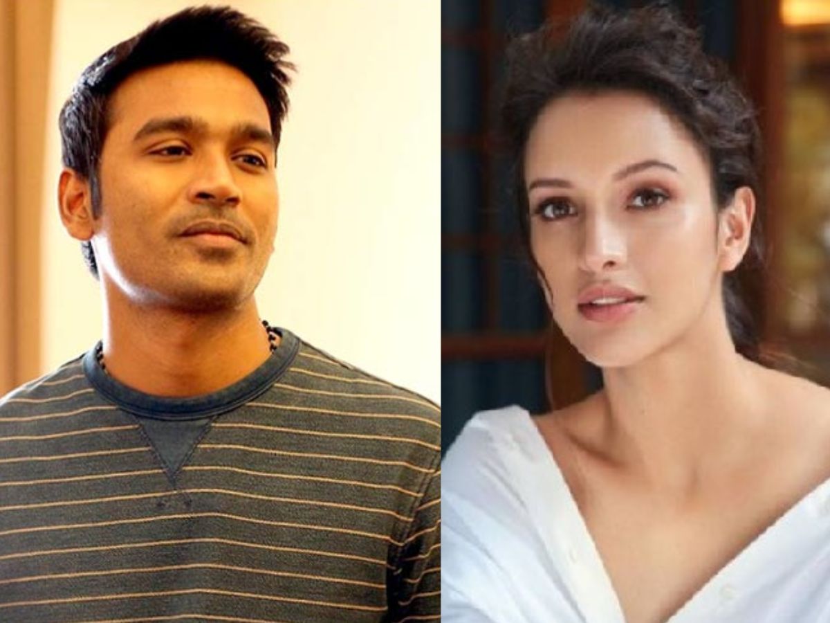 दाक्षिणात्य चित्रपटसृष्टीलाही तृप्ती डिमरीची भुरळ? धनुषसोबत करणार ...