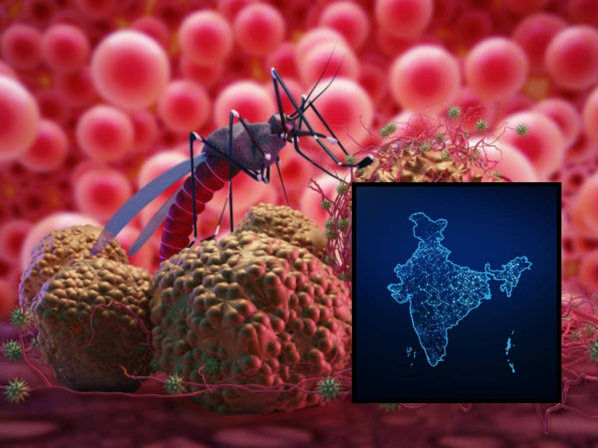 डेंग्युच्या रुग्णांचा आकडा 12000000 वर; भारतात काय आहे परिस्थिती?; Why ...