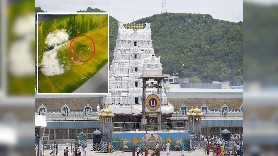 Tirupati Video : तिरुपती प्रसाद लाडू प्रकरणानंतर पुन्हा नवा वाद ...