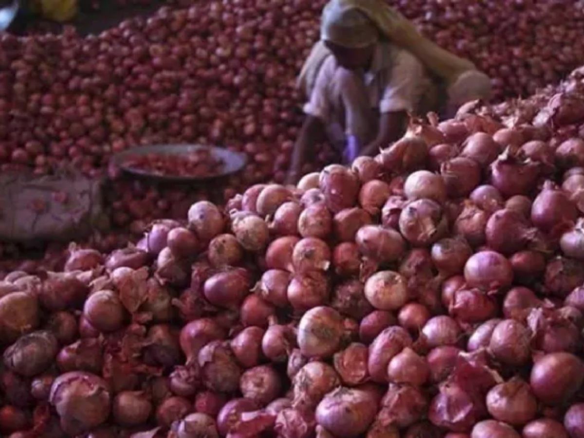 गृहिणींचे बजेट पुन्हा बिघडणार; कांद्याच्या दरात मोठी वाढ, आता काय आहे ...