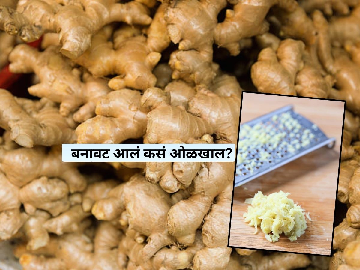 बनावट आलं ओळखण्याच्या 3 सोप्या ट्रिक्स; या आल्यामुळे होतो आजार, Kitchen ...