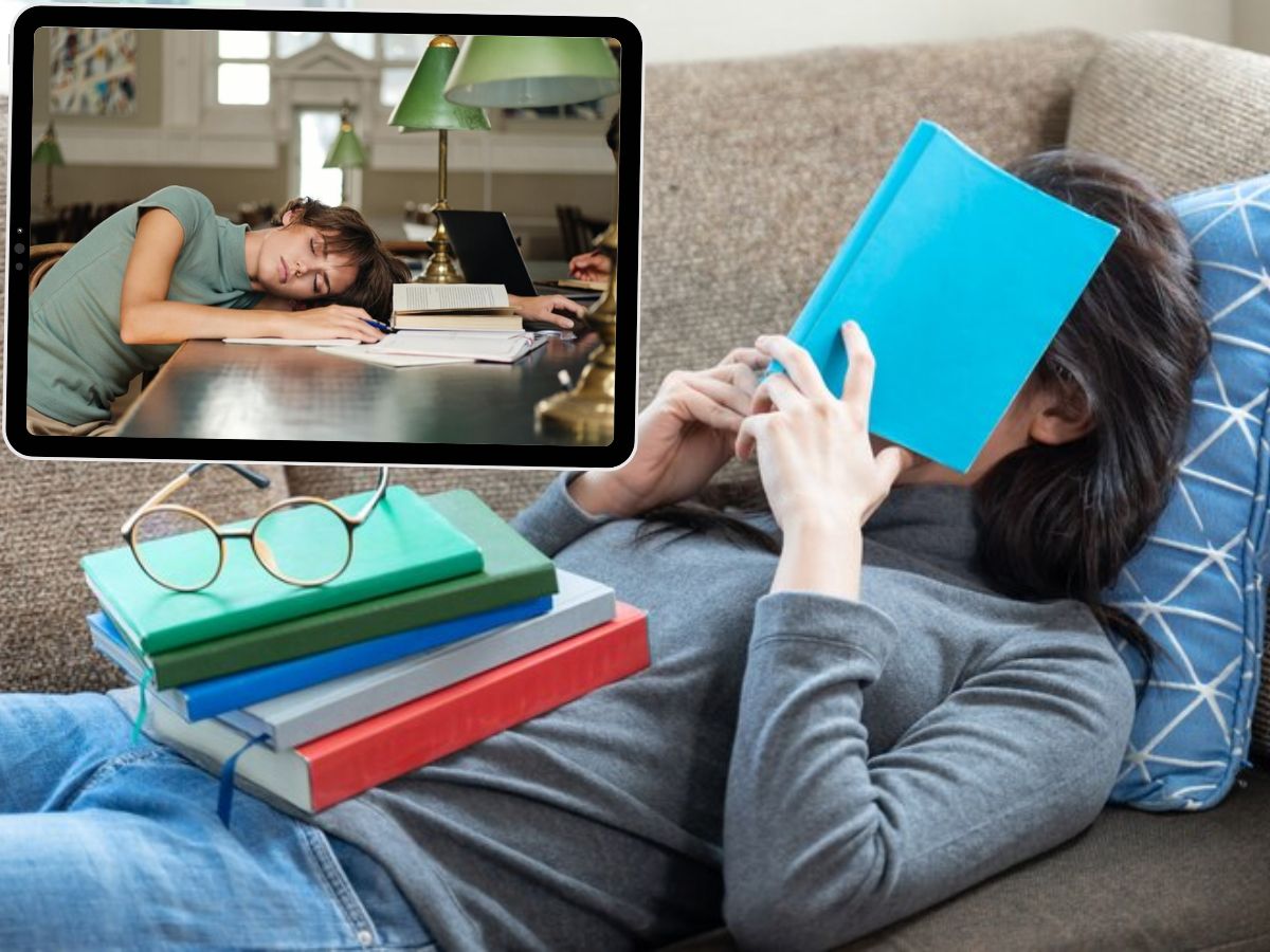 अभ्यास करताना किंवा पुस्तक वाचताना झोप येते, असं का होतं? जाणून घ्या ...