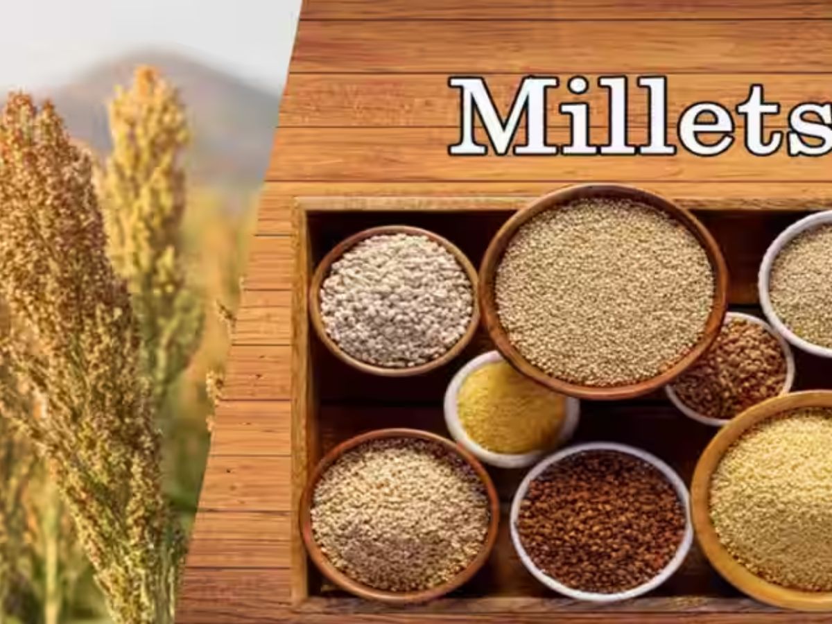 'या' धान्यांना पंतप्रधान मोदींनी संबोधलं सुपरफुड; तुमच्या आहारात करता ...