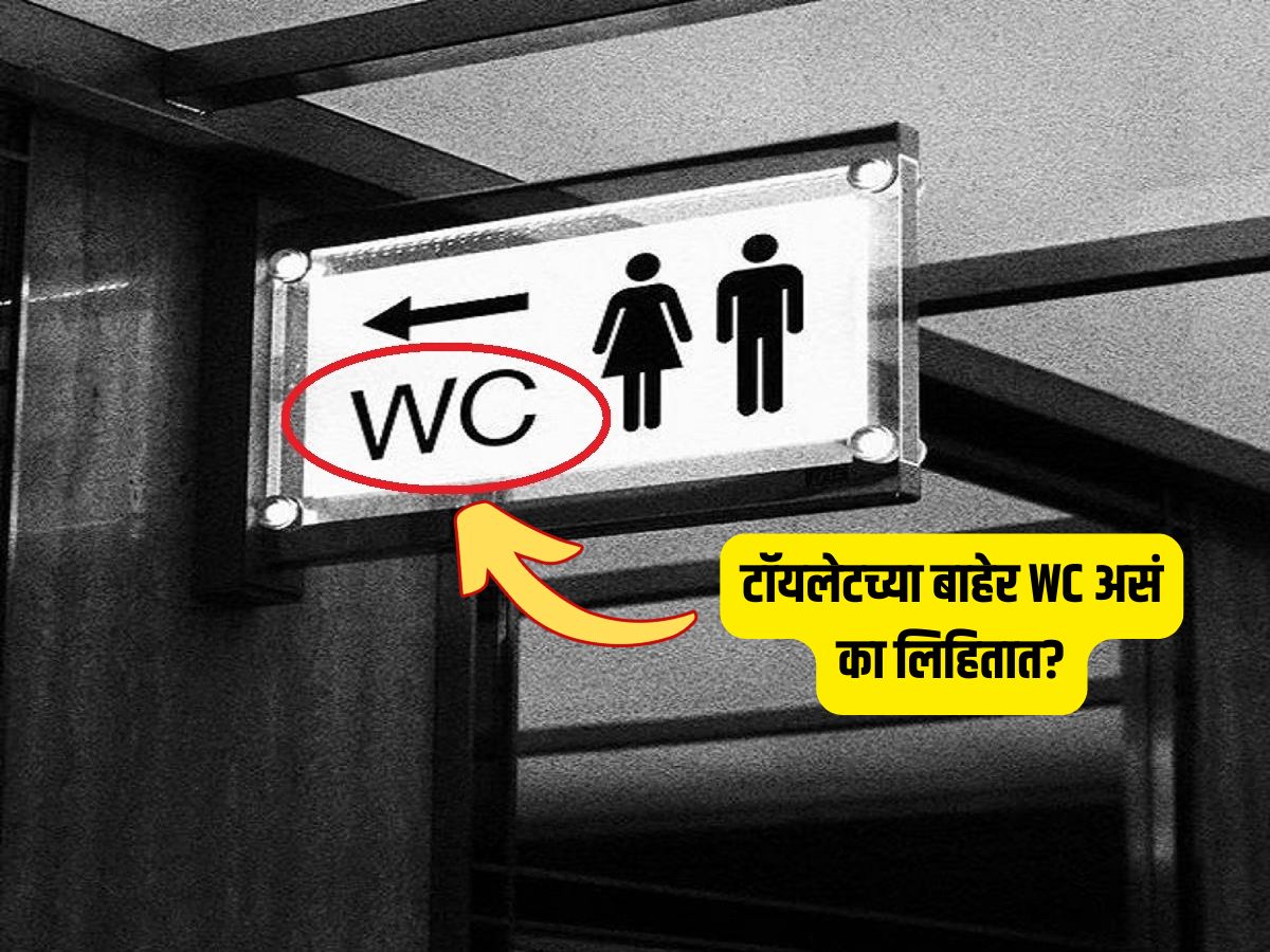 टॉयलेटच्या बाहेर का लिहिलेलं असतं WC? तुम्हाला माहिती आहे का कारण ...