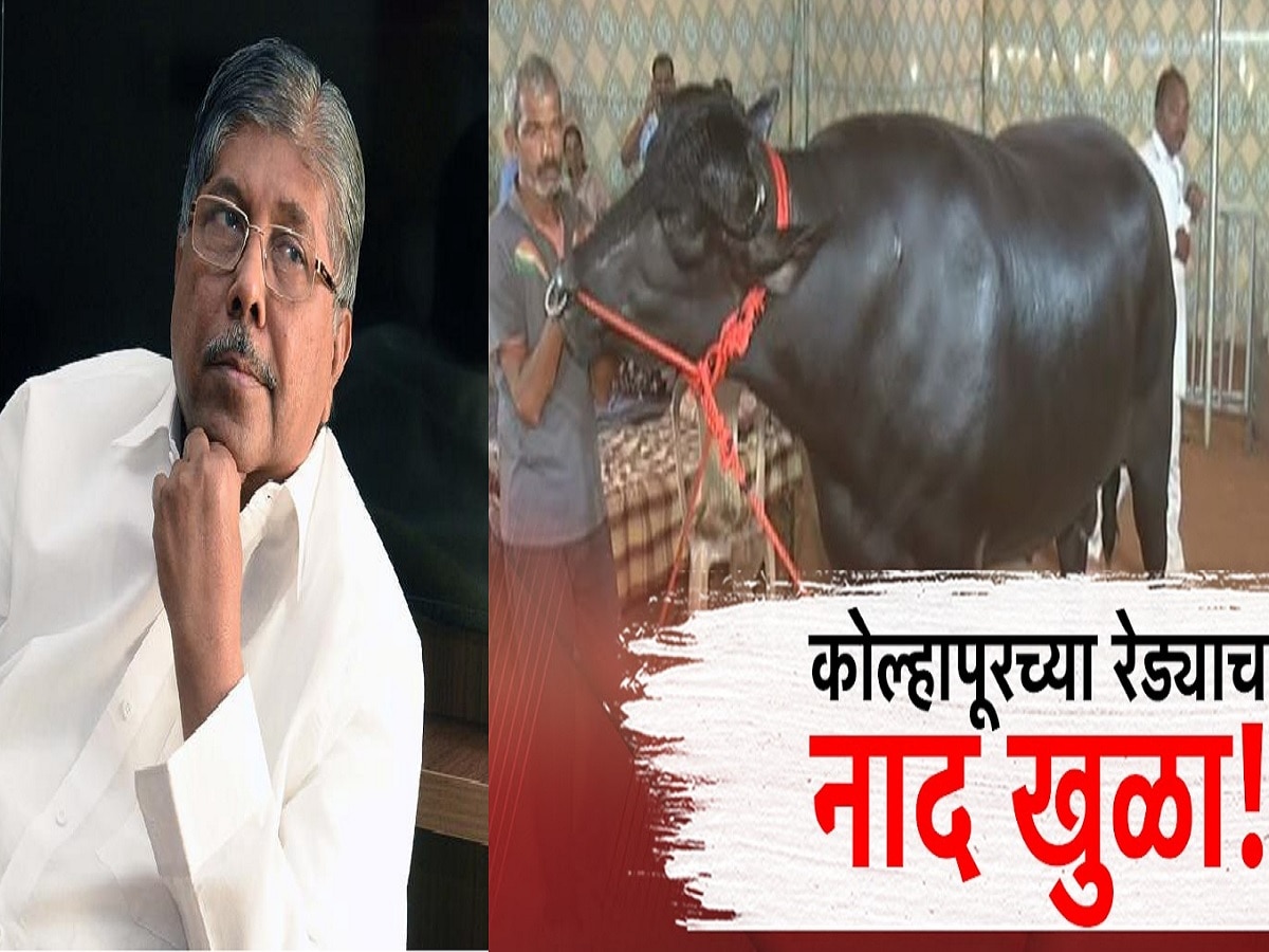 Bull Worth 10 Crore Bhima Agriculture Exhibition Chandrakant Patil is ...