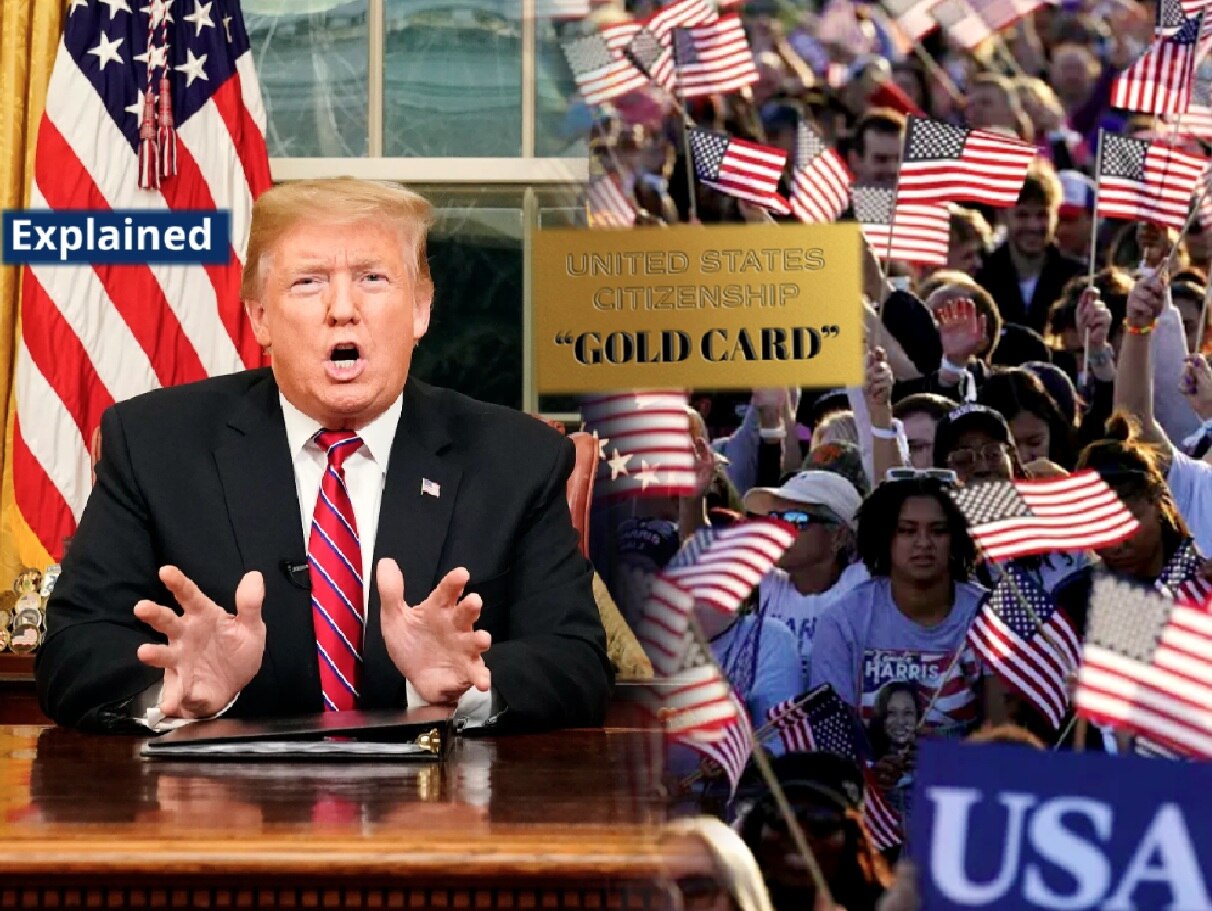 explained US Gold Card Visa What is Trump usd 5 million INR 43 crore US ...