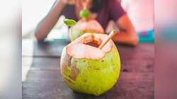 endosperm of coconut News in Marathi, endosperm of coconut Breaking ...