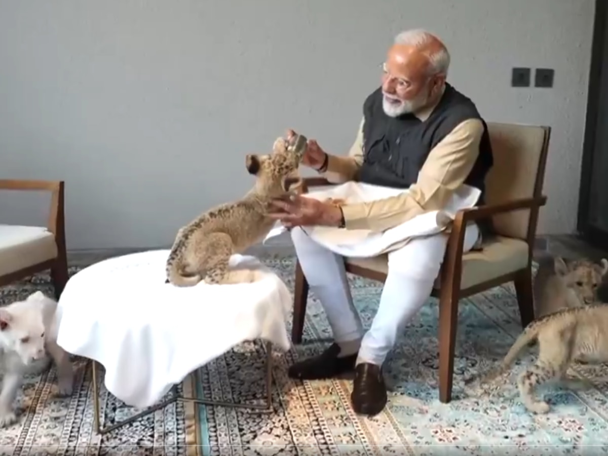 PM Modi at Vantara inaugurates Rescue Centre Viral Video Marathi News ...