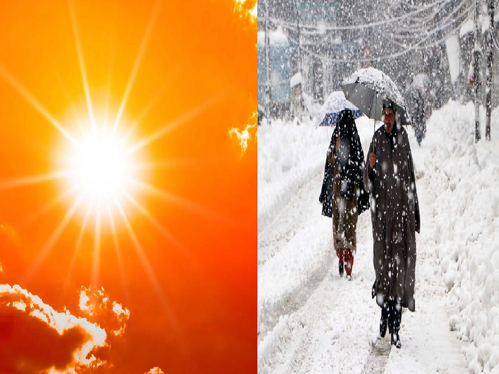 Maharashtra Weather news heatwave like situation arises in maharashtra ...