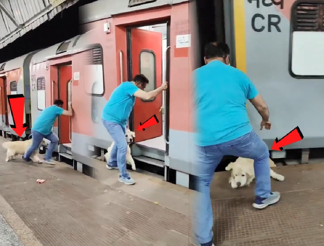 Man Risky Stunt to Board Running Train With His Dog Ends in a ...