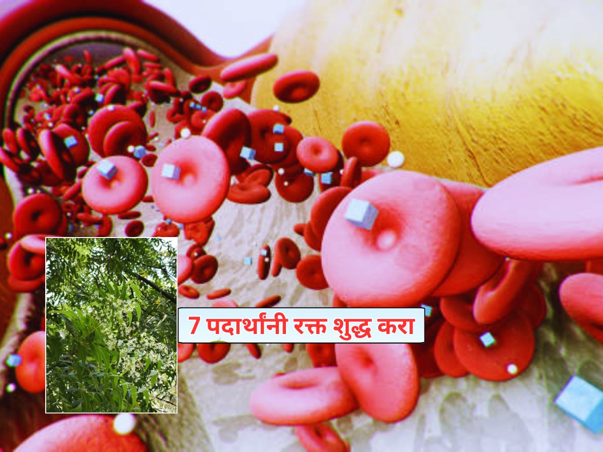 6 Blood Purifier Natural foods to purify blood at home who clean body ...