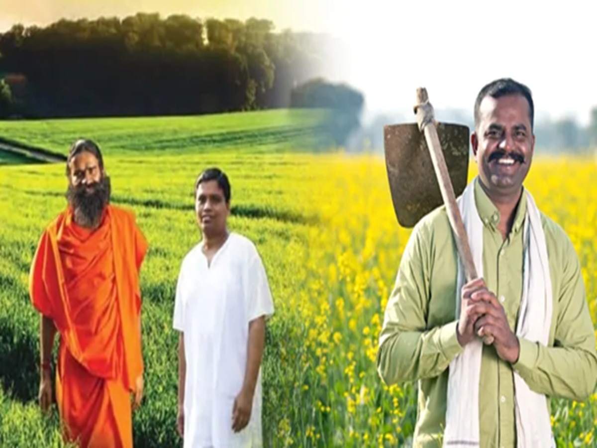 पतंजलीच्या सेंद्रिय शेतीमुळे मातीची गुणवत्ता कशी बदलते?, शेतकरी होतोय ...