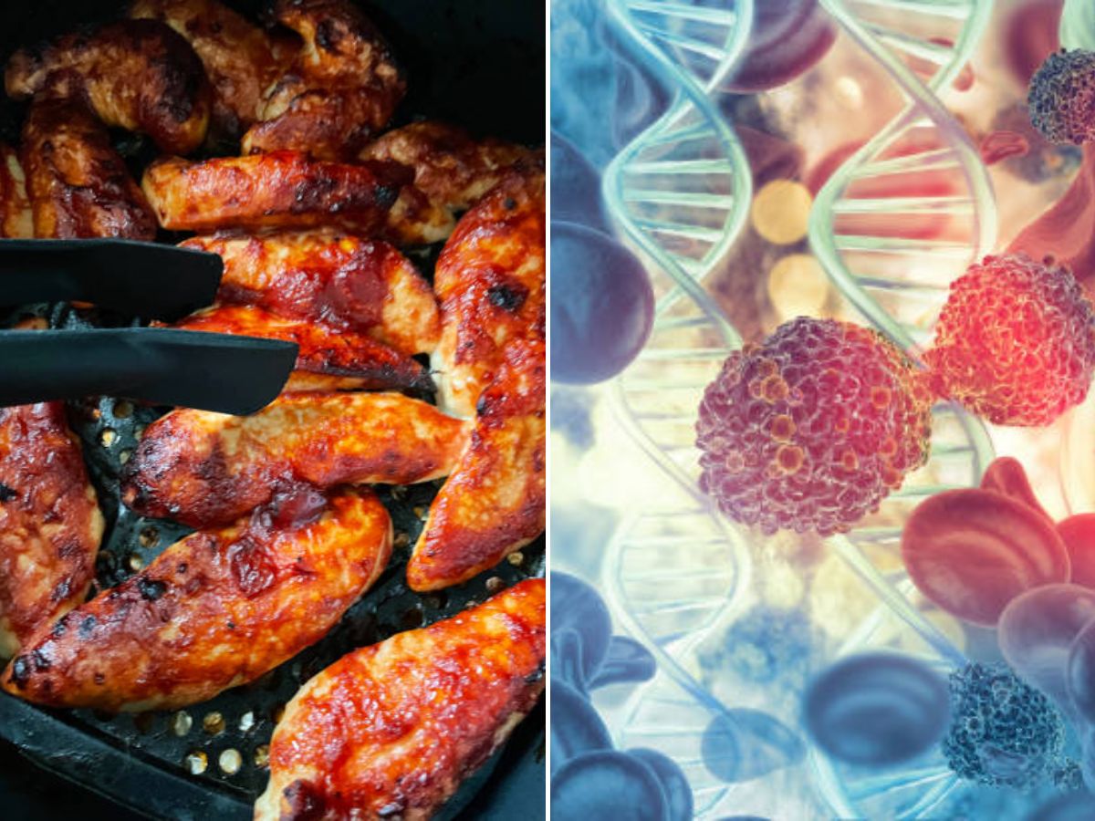 Eating Chicken regularly in a week is increase the risk of cancer new ...