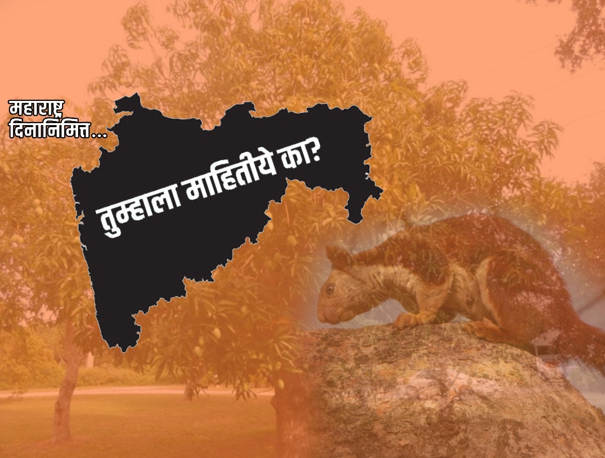 Maharashtra Din 2025 Intresting Facts Did You Know About State Animal ...