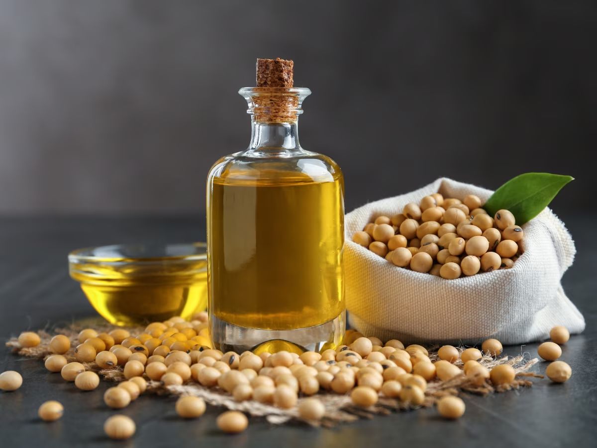 5 Cooking oil is harmful for health immediately avoid these oil its ...