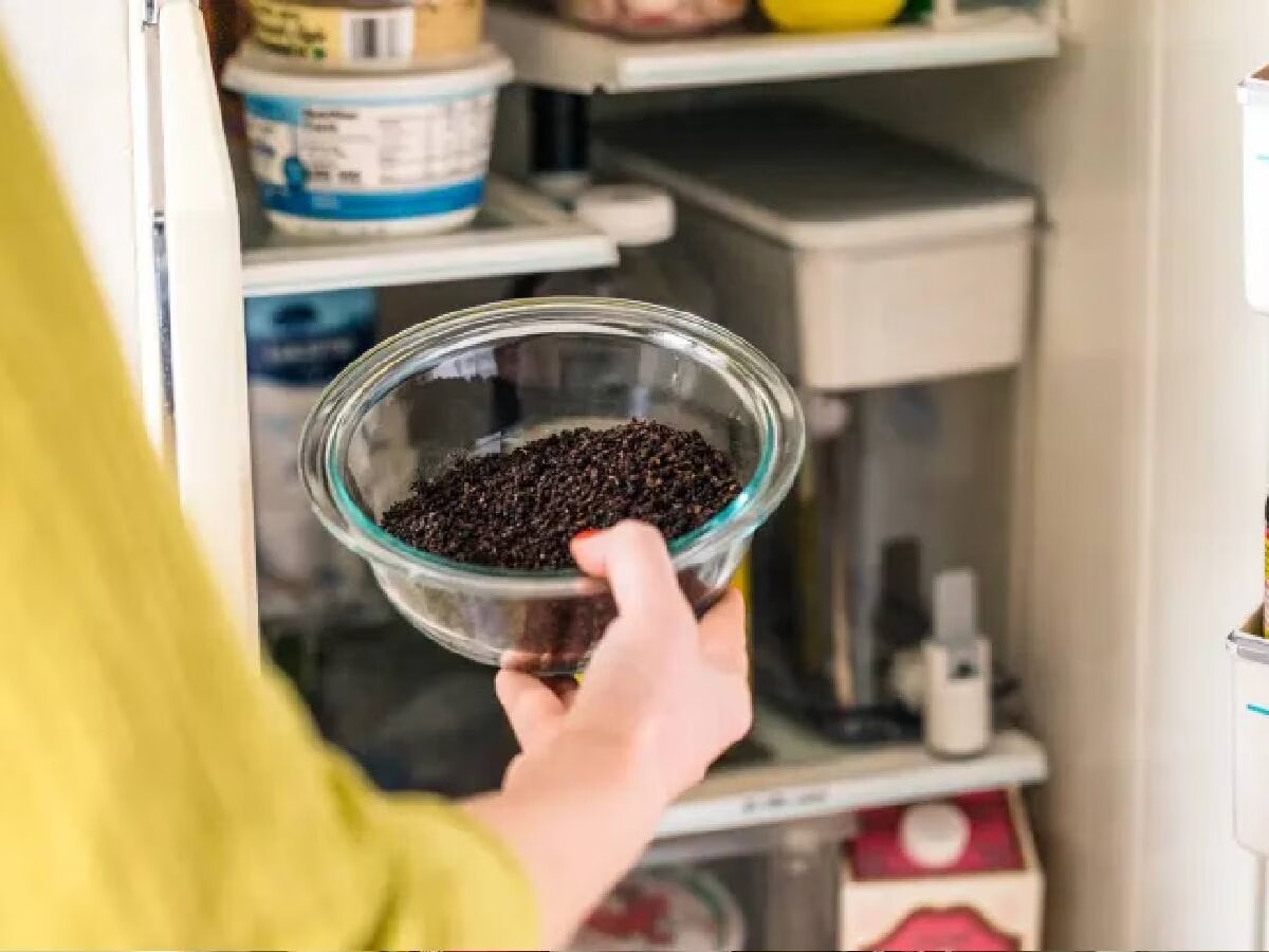 How to remove bad smell from fridge know easy and effective hacks for ...