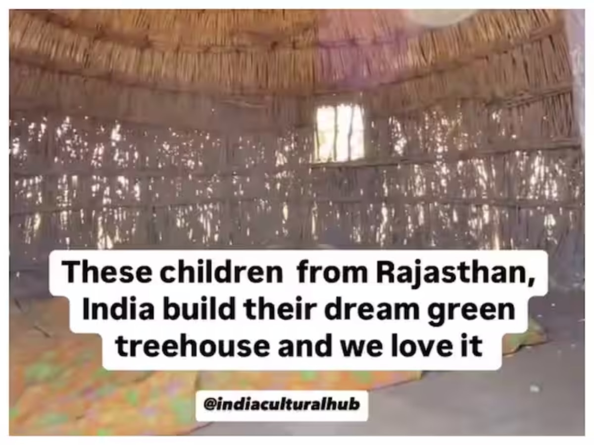 unique tree house built on babool tree in rajasthan viral video ...
