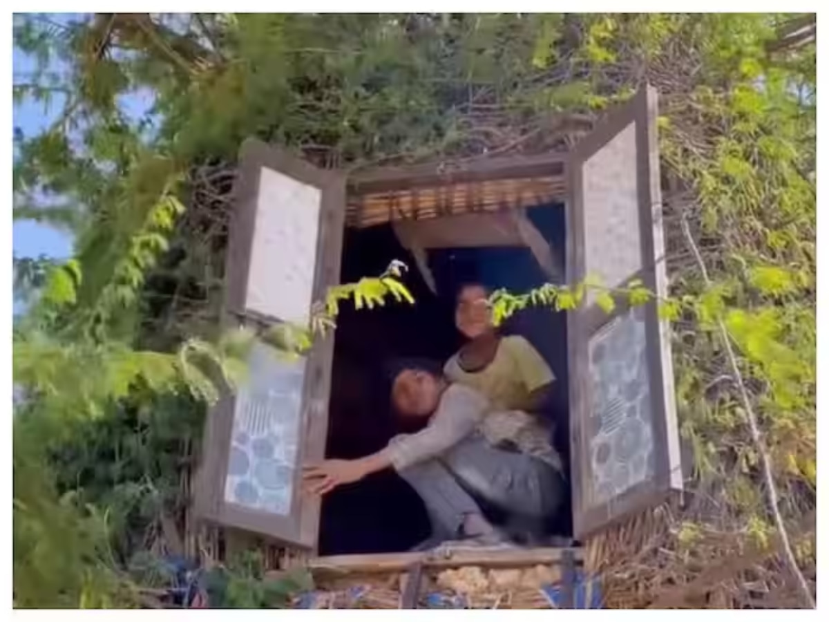 unique tree house built on babool tree in rajasthan viral video ...