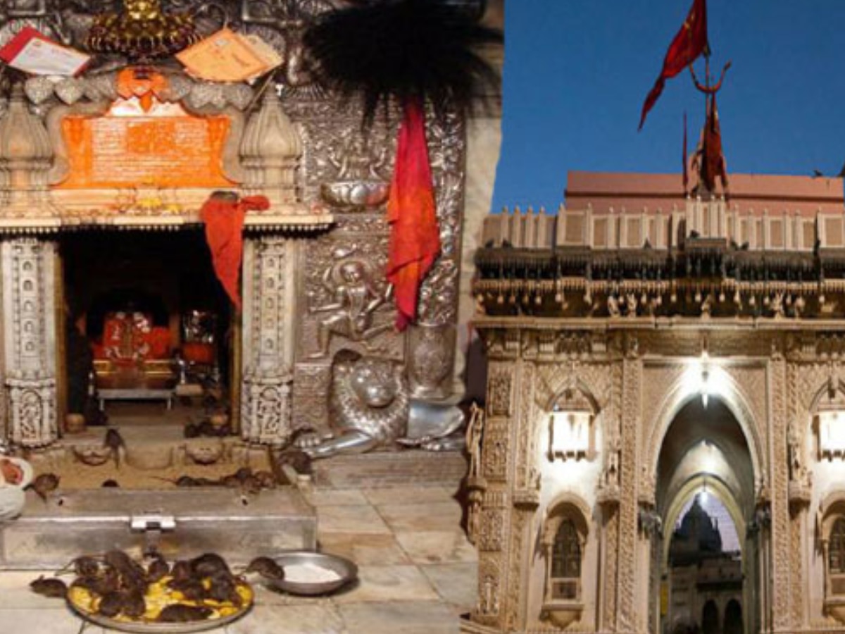 Karni Mata Mandir Rat Temple in Rajasthan Unknown Facts Of India ...