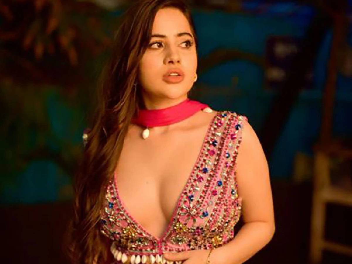 Urfi Javed Opened Up About She Stopped Wearing Bra since two years | 'द ट्रेटर्स' फेम सुंदरीने ...