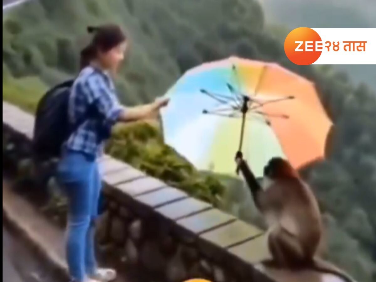 Girl Went To Give An Umbrella To A Monkey But Suddenly Shocking Incident see viral video | 'कर्म ...