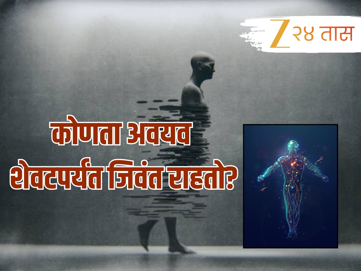 Which Body part or organ remain Alive After Death ; मृत्यूनंतर शरीरातलं ...
