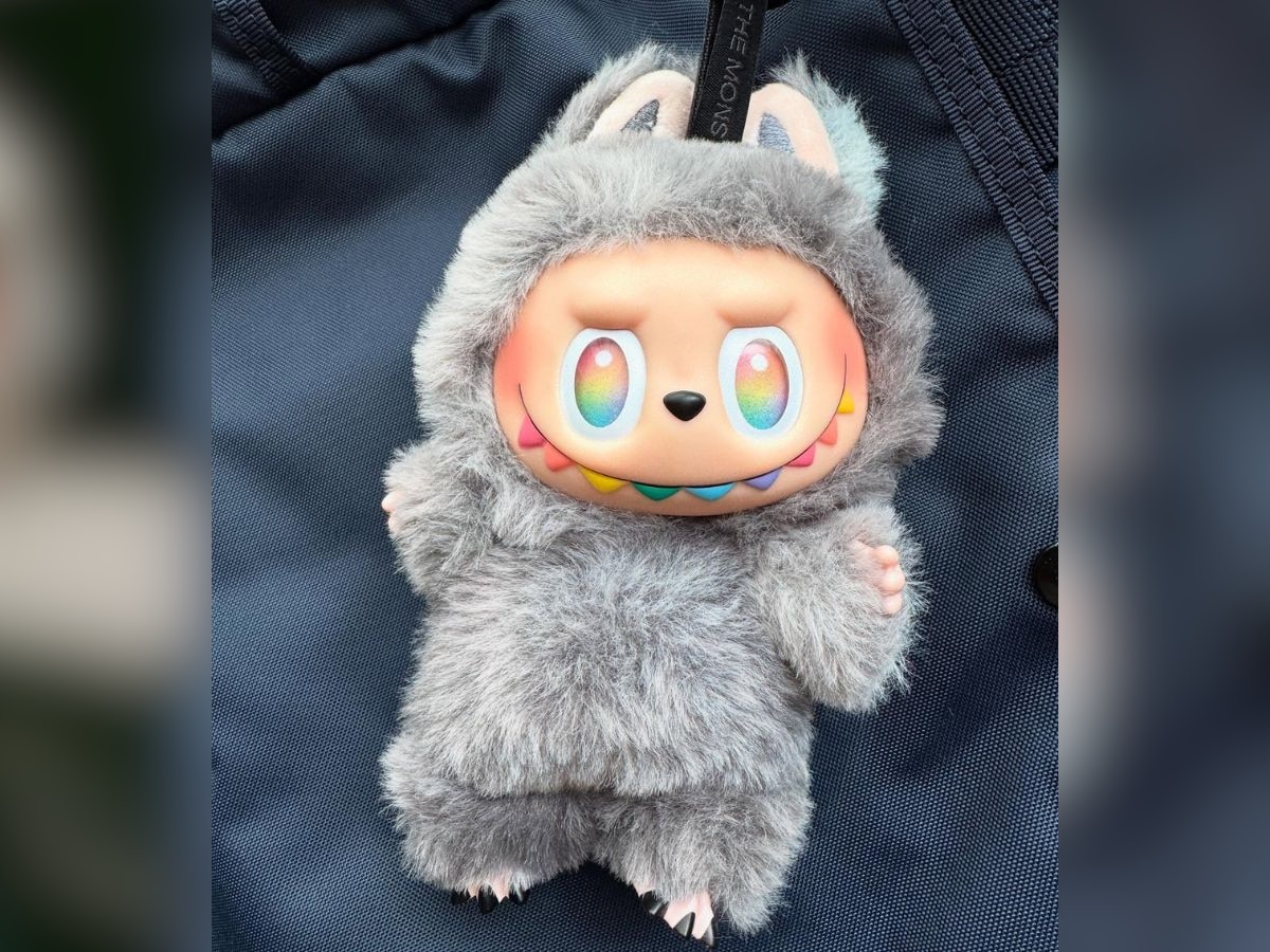 What is Labubu Dolls Trend viral Why Hollywood to Bollywood celebrities ...