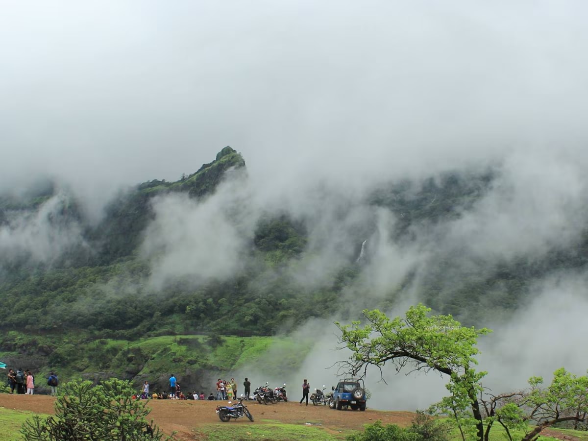 Monsoon treks complete guide of andharban jungle trek maharashtra|गर्द ...