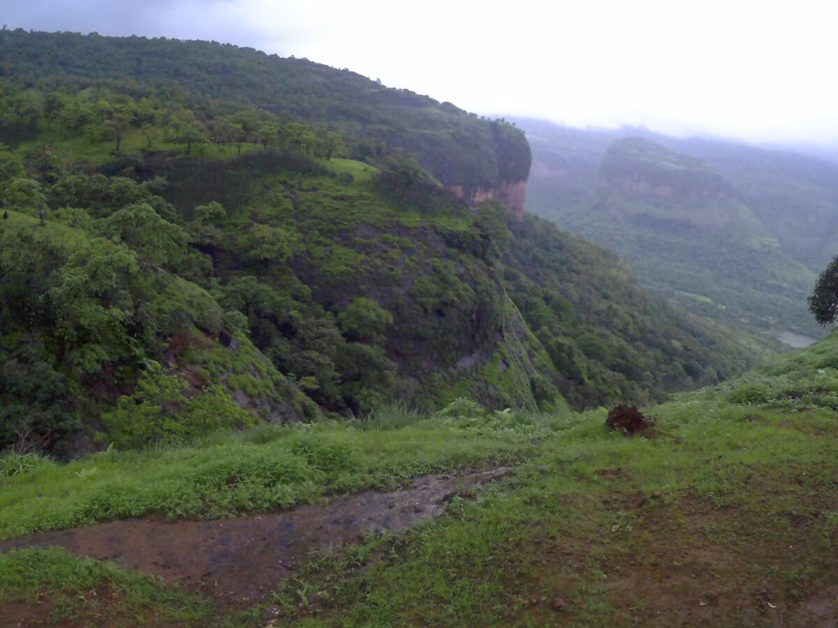 Monsoon treks complete guide of andharban jungle trek maharashtra|गर्द ...