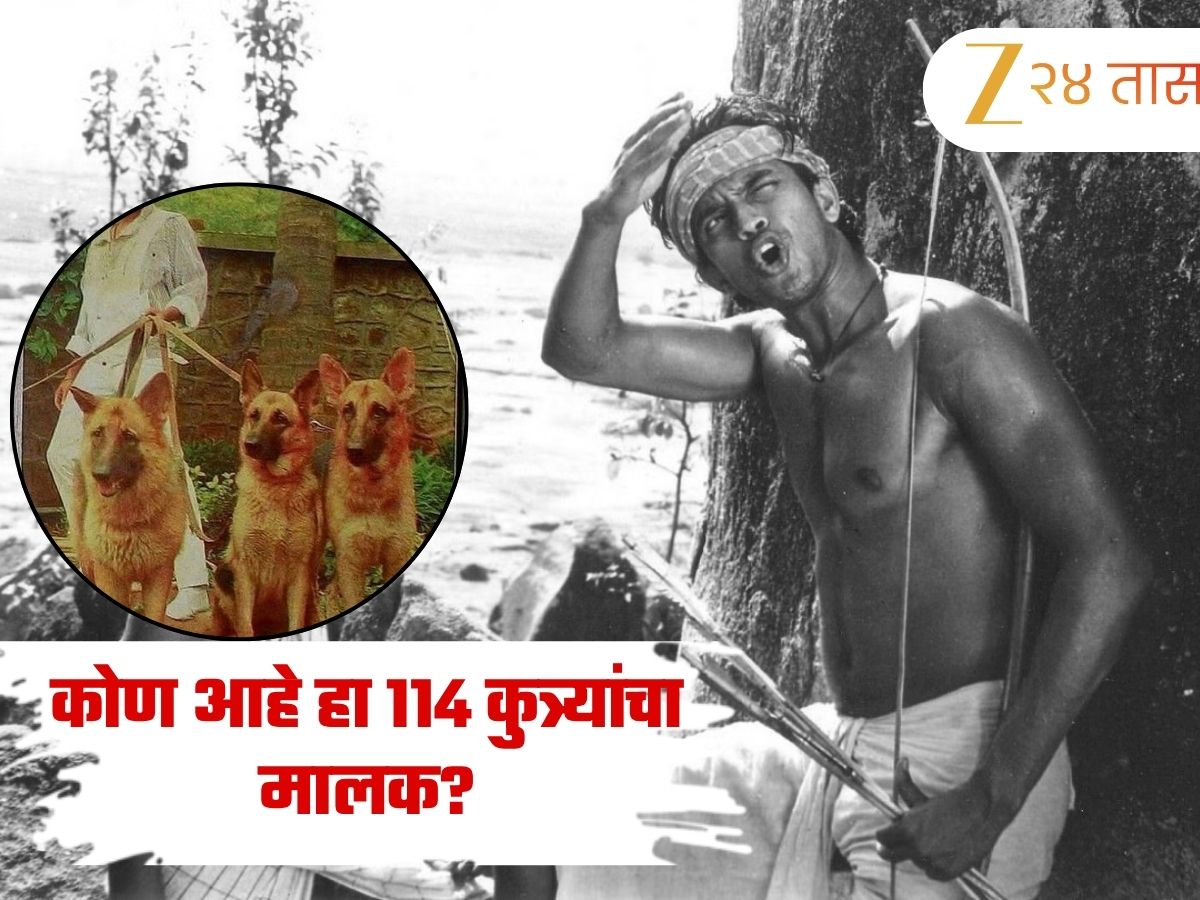 Happy Birthday Mithun chakraborty has 114 dogs know his net worth | 114 ...