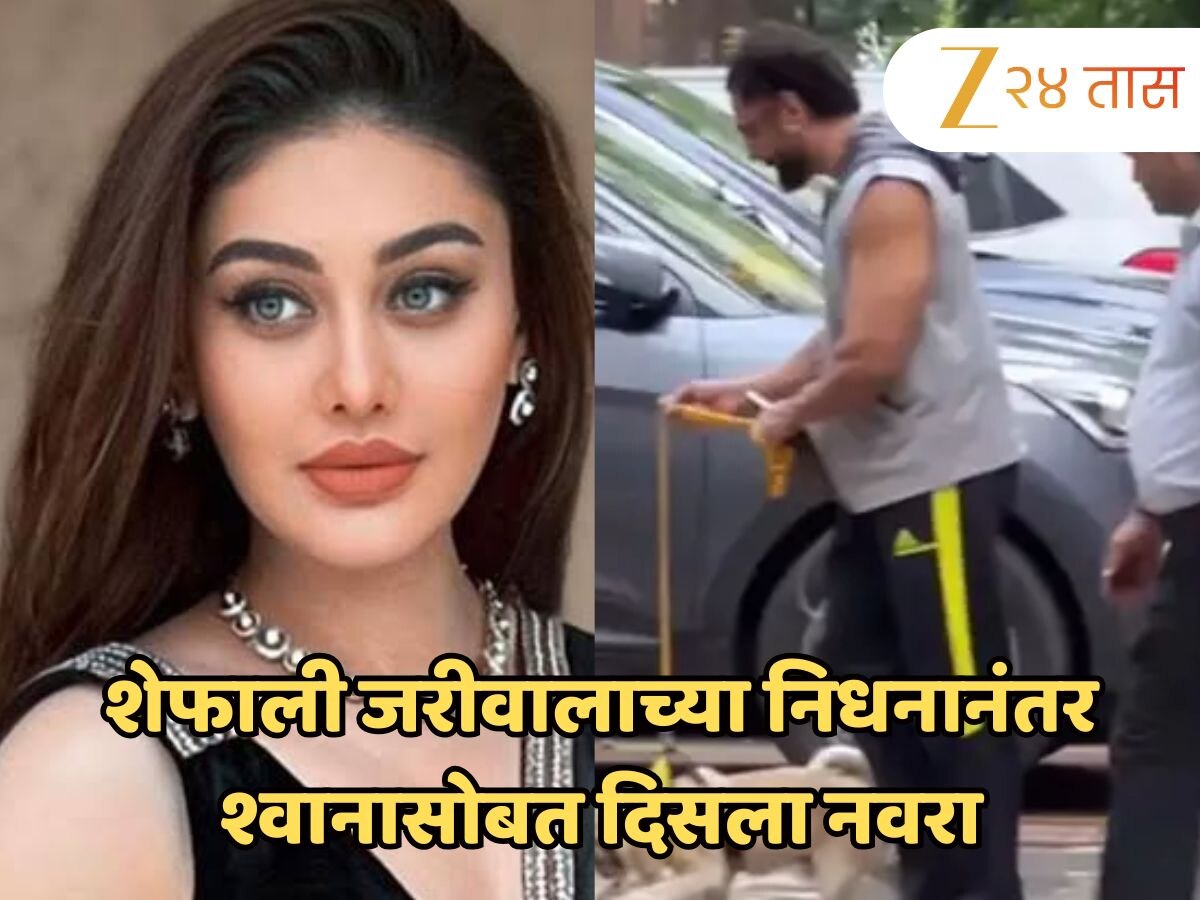 शेफाली जरीवालाच्या निधनानंतर श्वानासोबत फिरताना दिसला तिचा नवरा ...