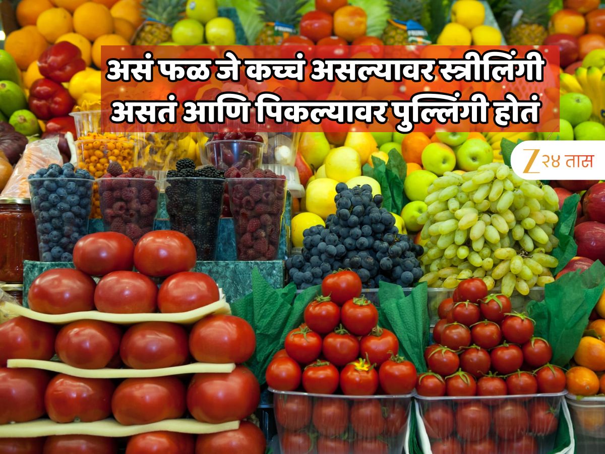 Mango Name interesting facts A world famous fruit from Maharashtra ...