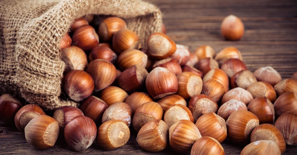 Benefits of hazelnuts more powerful than almonds and walnuts | बदाम आणि ...