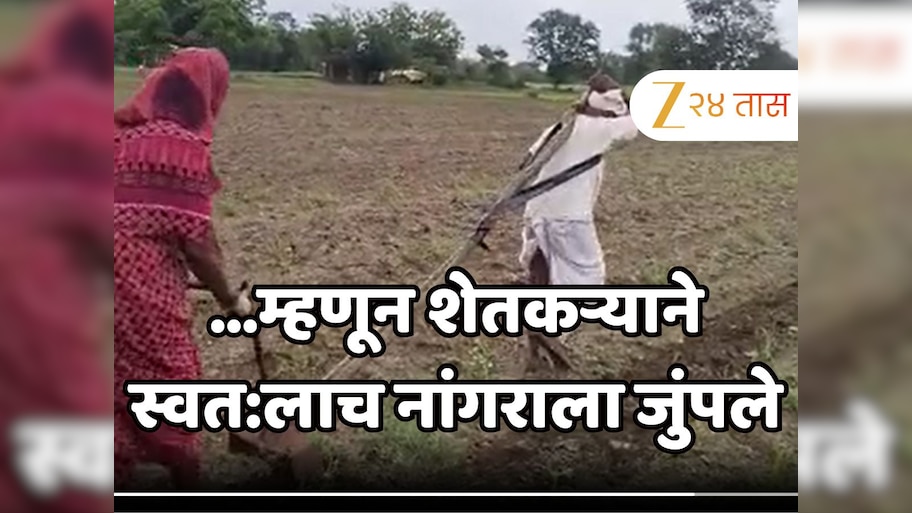 Latur News Unable to afford oxen for farming, farmer pulled plow ...