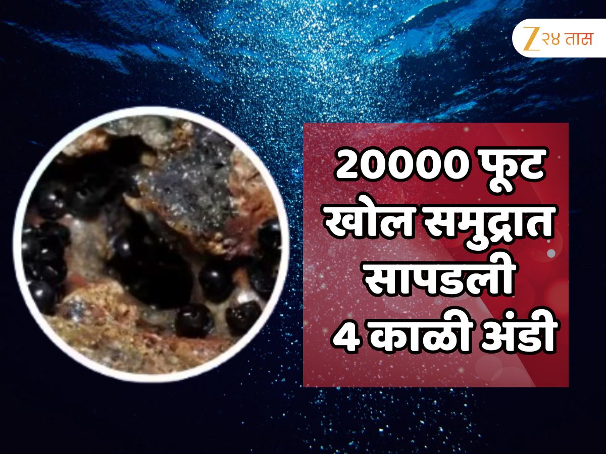 Mysterious Jet Black Eggs Found 20000 Feet Deep Science News | 20000 फूट खोल समुद्रात सापडली 4 ...