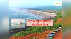 Aare Ware beach News in Marathi, Aare Ware beach Breaking News, Latest ...