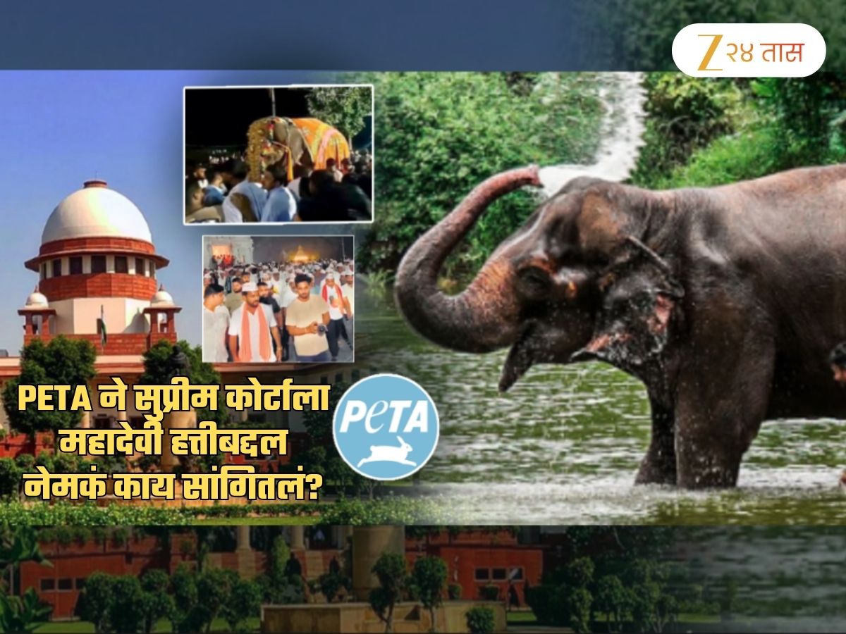 what peta told about mahadevi madhuri to supreme court So Elephant ...