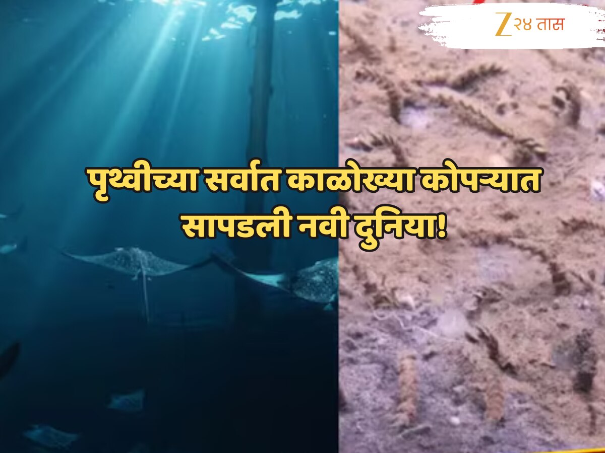 Alien like creatures spotted at a depth of 31000 feet in the sea ...
