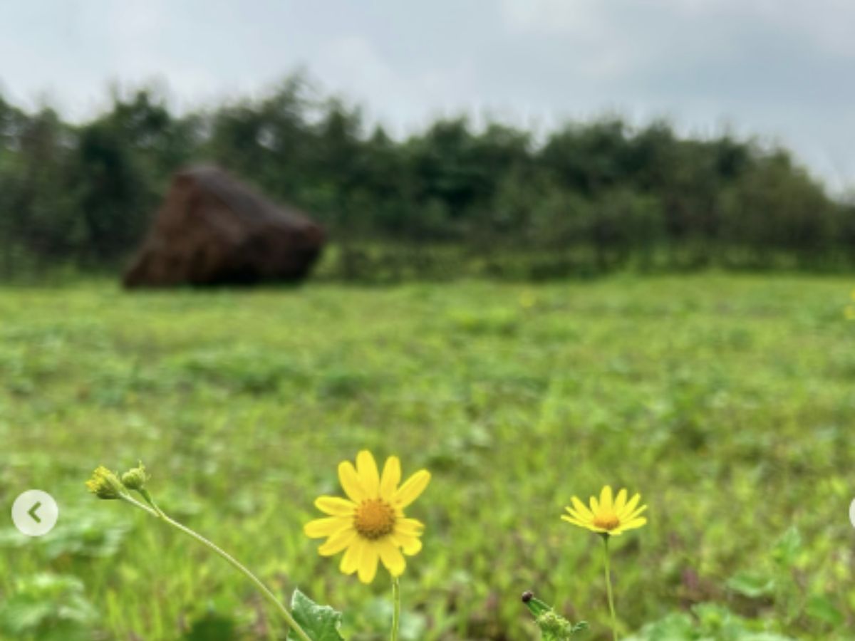 maharashtra village Kasmal pen Raigad Vyghareshwar Beautiful Nature ...