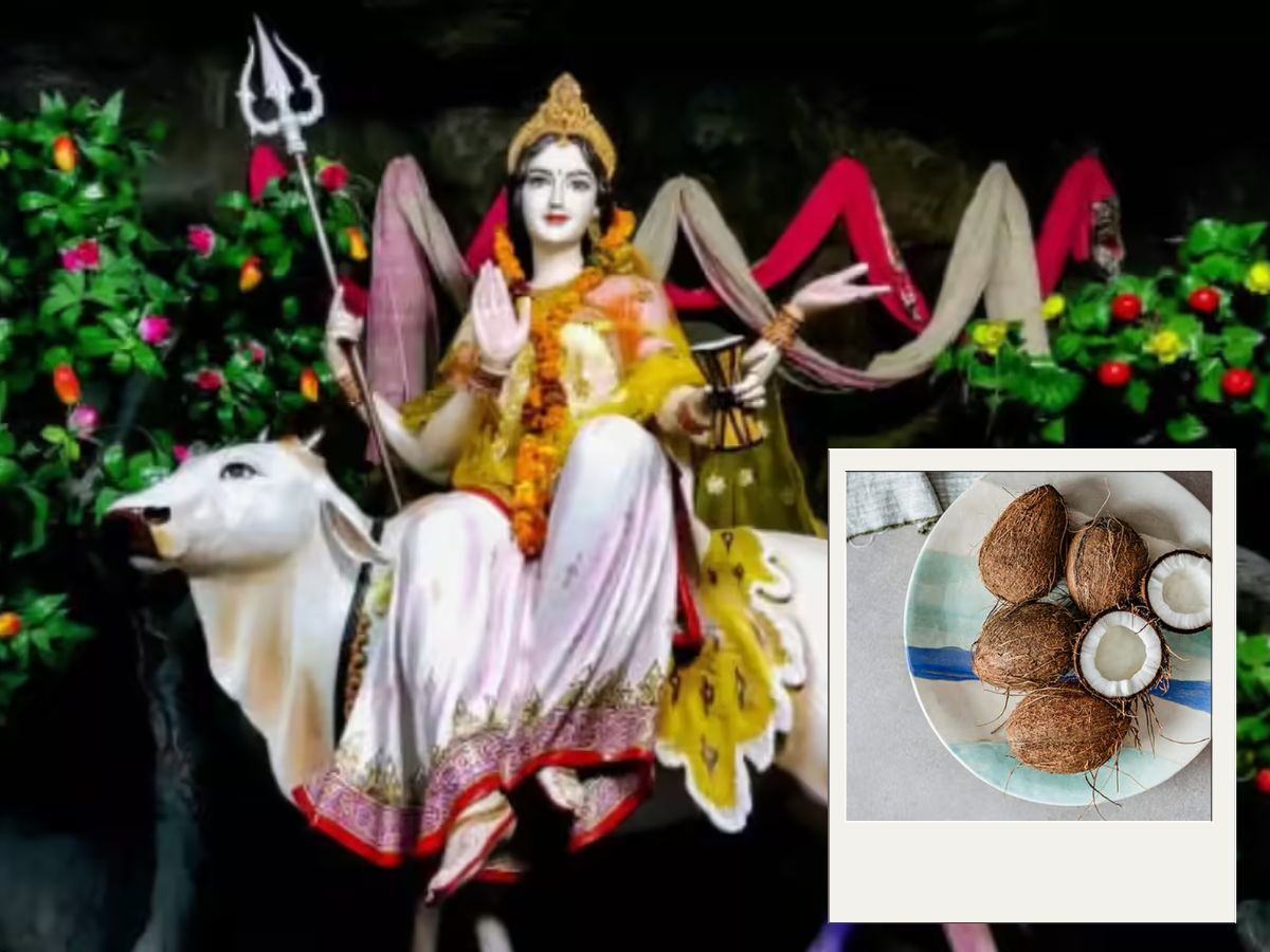 आठवा दिवस- महागौरी | News in Marathi