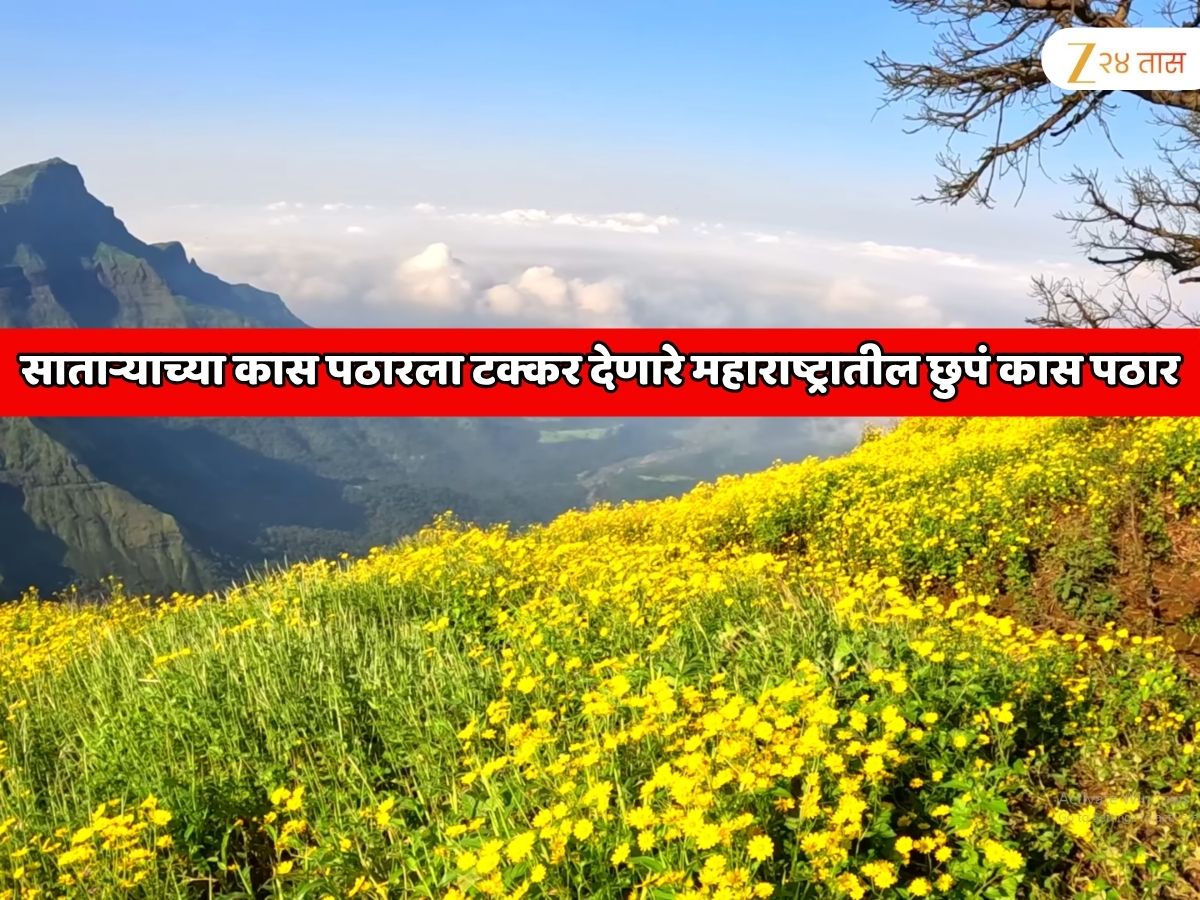 The hidden Kas Plateau of Maharashtra rivaling the Kas Plateau of ...
